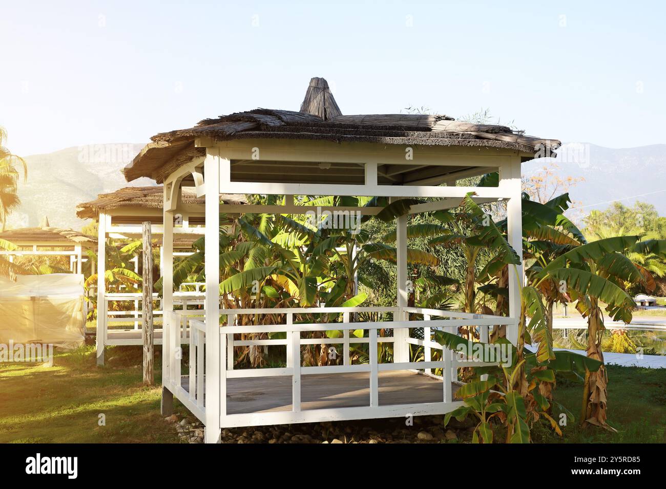 A white wooden gazebo nestled among tall banana plants in a tropical ...