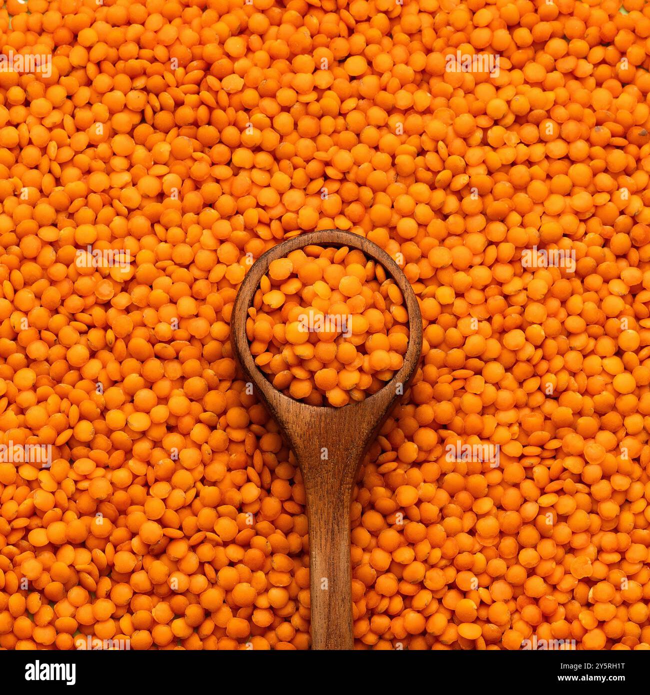Lens culinaris - Raw red lentils on the spoon Stock Photo - Alamy