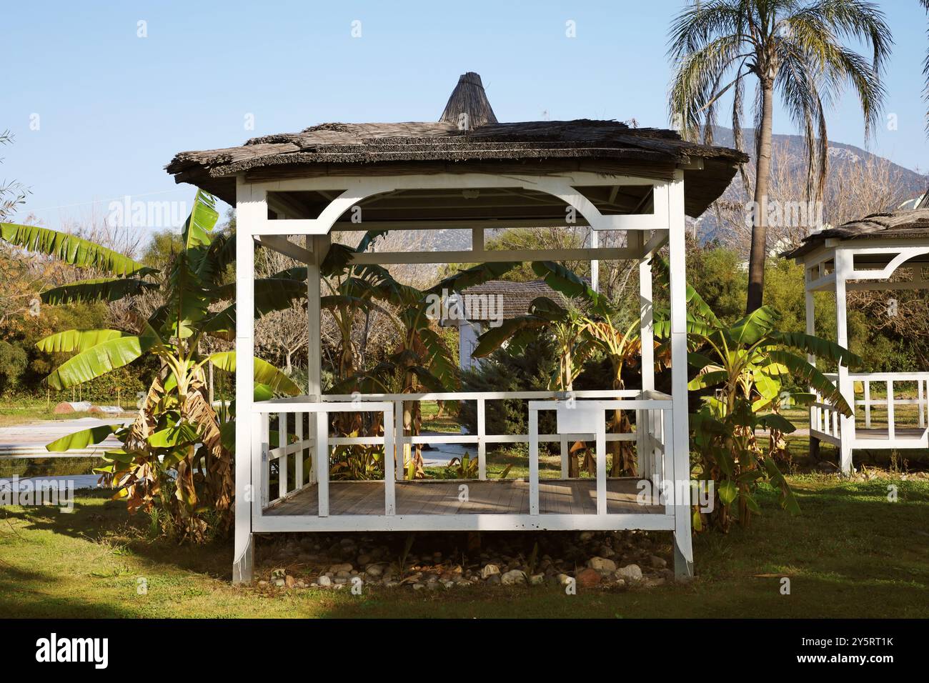 A close-up of a white gazebo with surrounding palm trees in a sunny ...