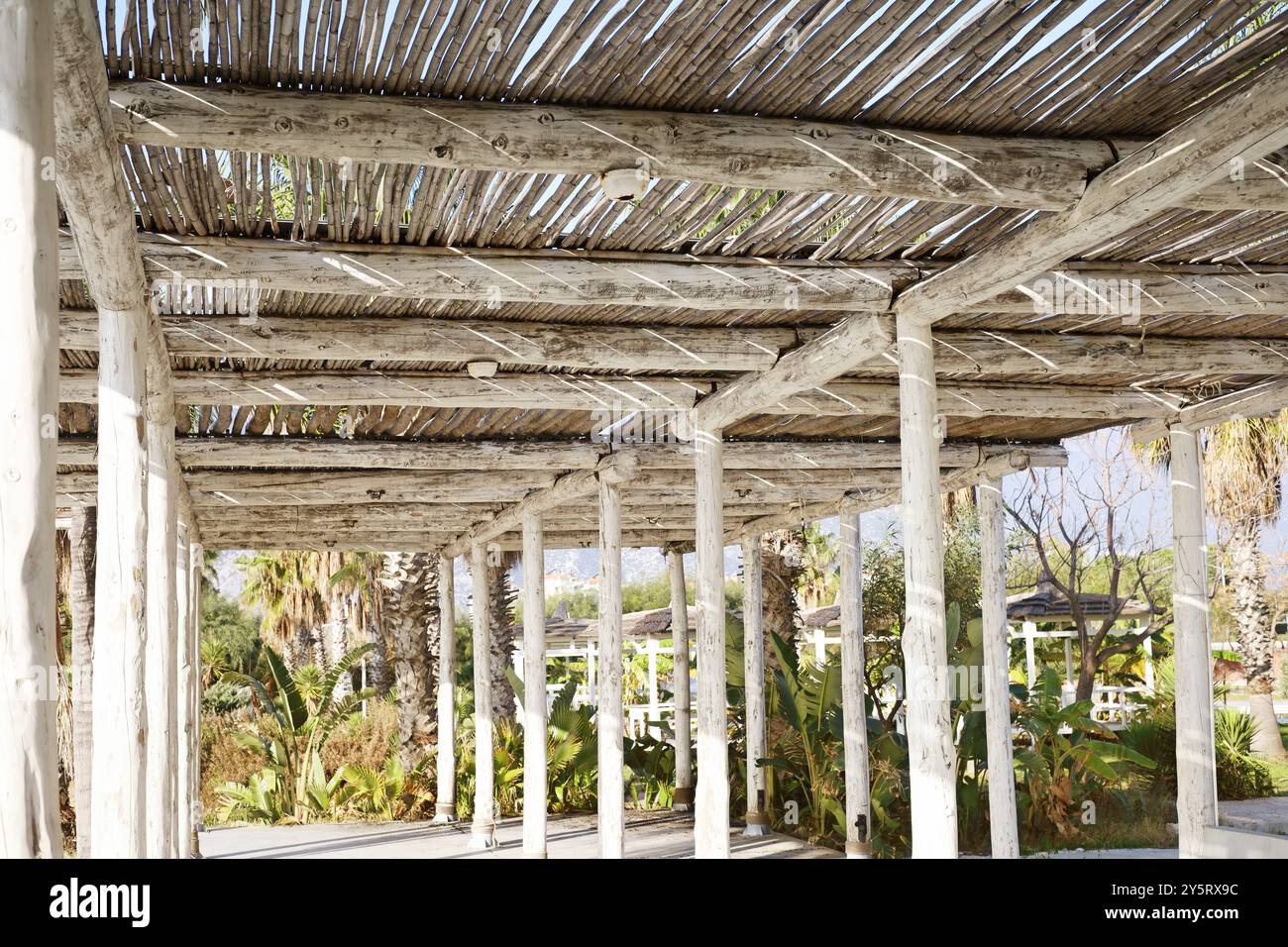 A slatted wooden roof of an outdoor pergola creates light and shadow ...