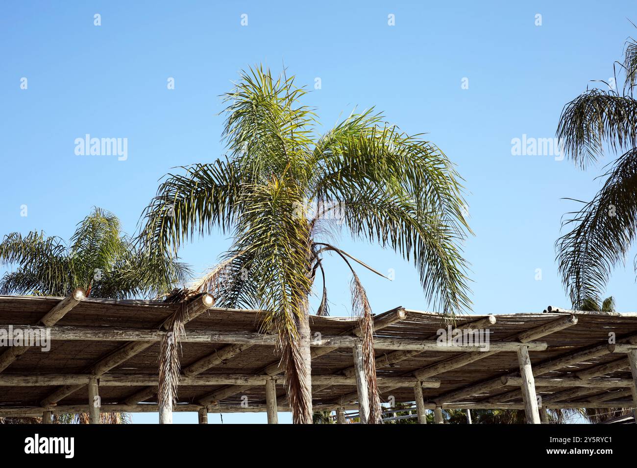 Slatted roof hi-res stock photography and images - Alamy