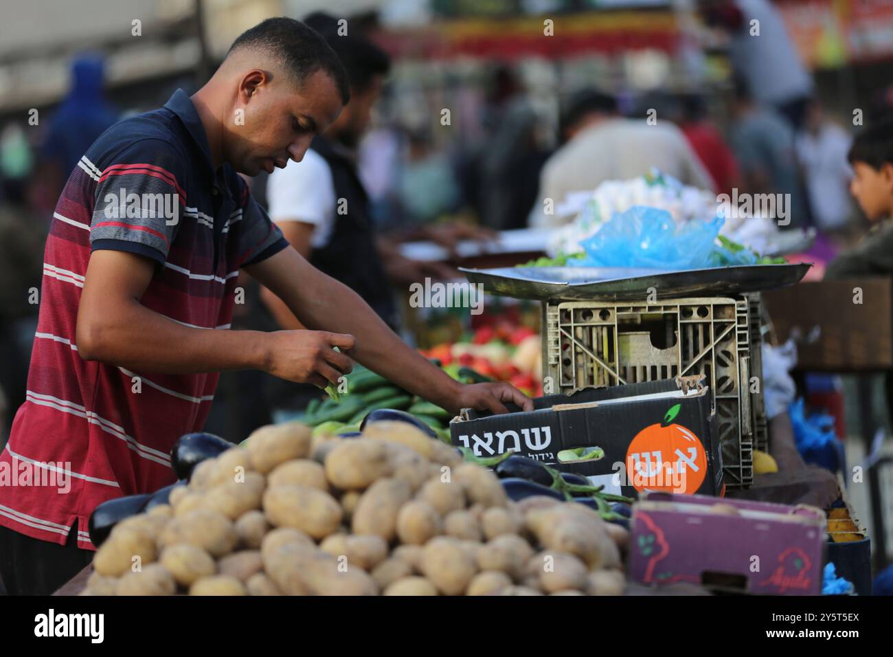 Gaza. 22nd Sep, 2024. A vegetable vendor is pictured at a market in ...