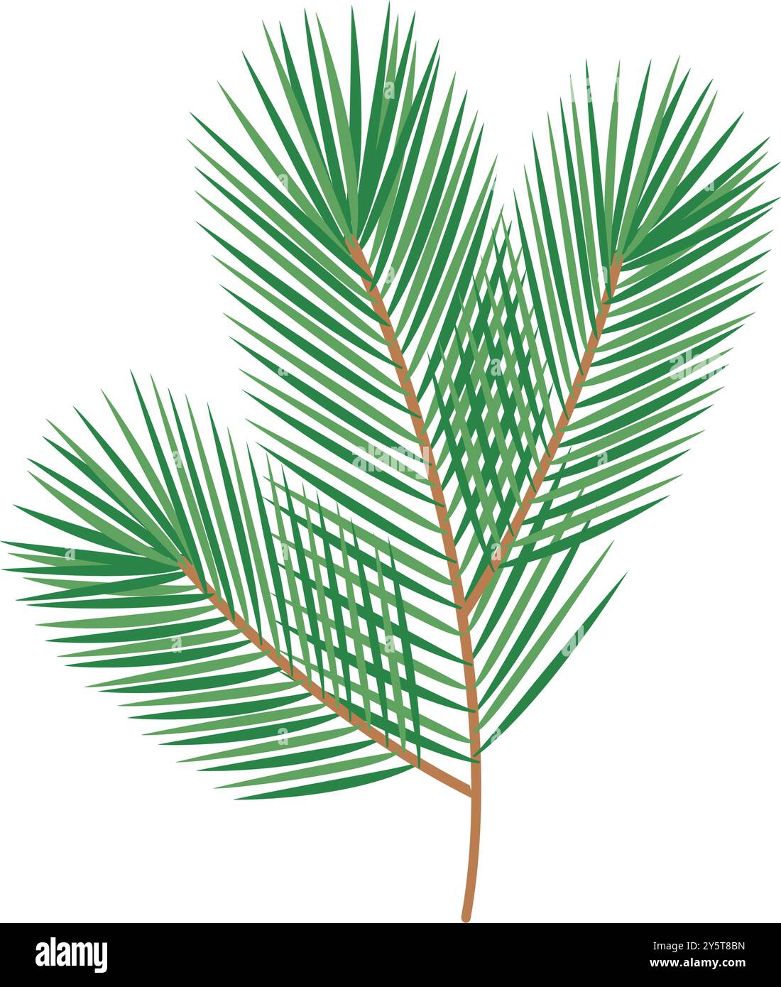 Fluffy pine branch without festive decoration. isolated Decorative ...