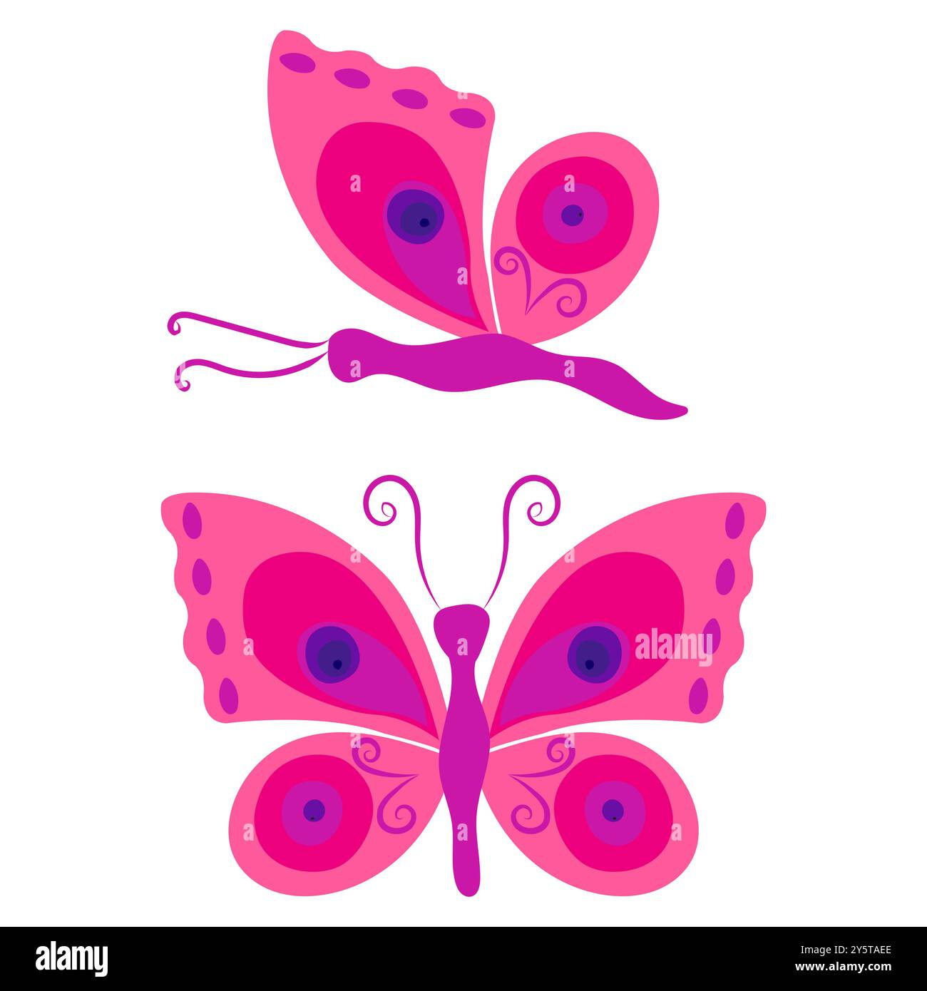 Butterfly illustration closed wings Stock Vector Images - Alamy