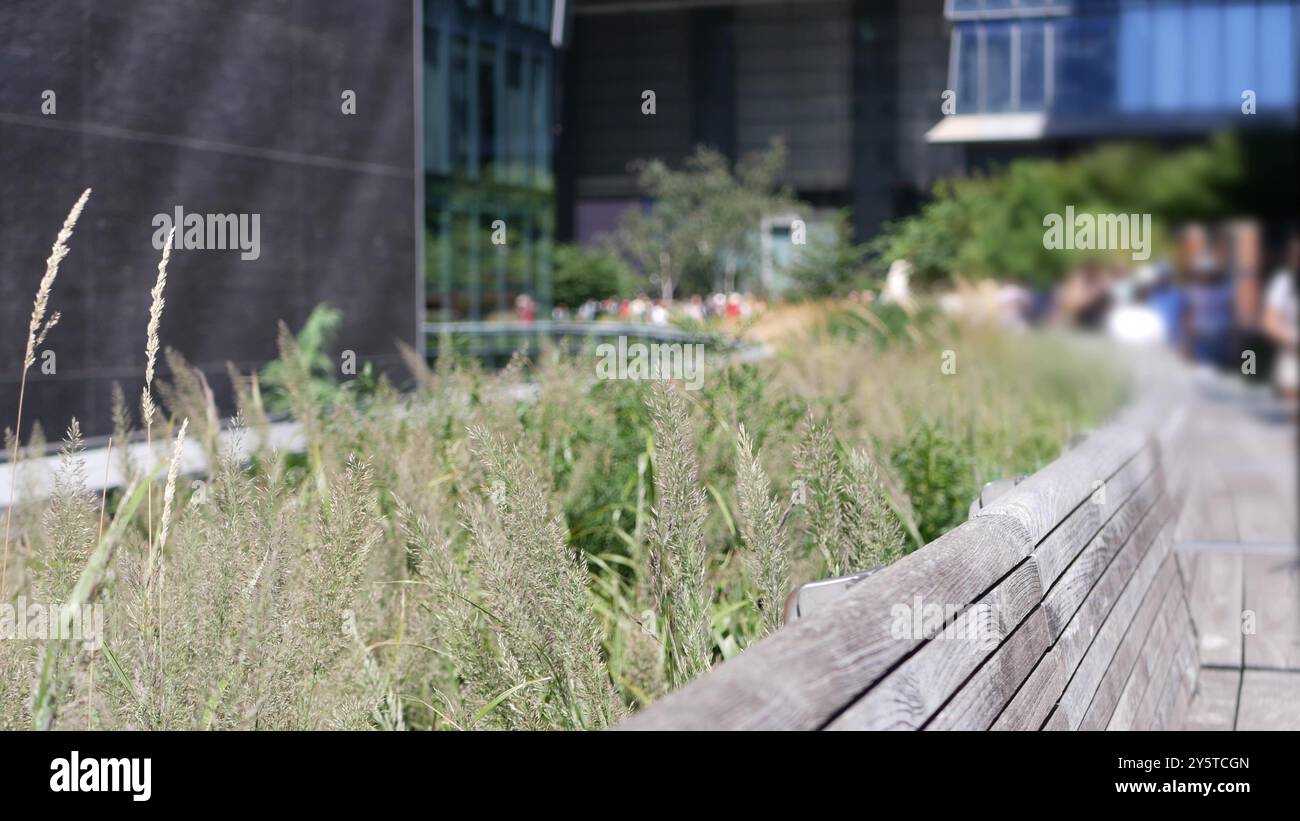 New York City High Line elevated greenway, Manhattan Midtown, USA ...