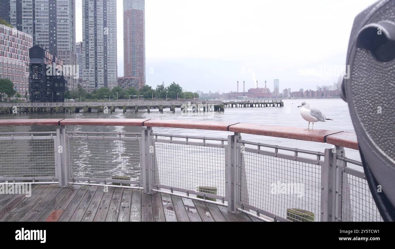 New York City waterfront skyline, riverfront skyscrapers by East river water. Waterside ...