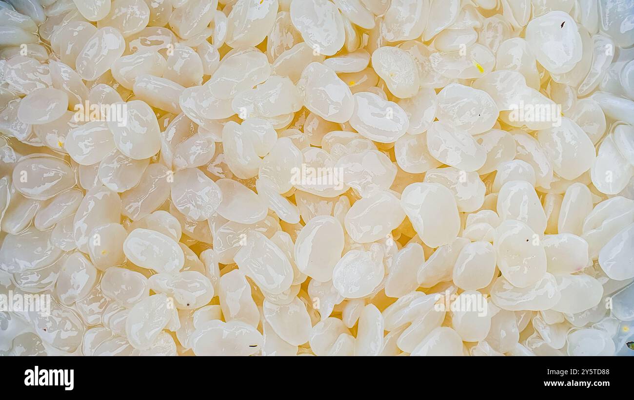 Traditional Kolang-Kaling in Close-Up View. Sweet and Chewy Kolang ...