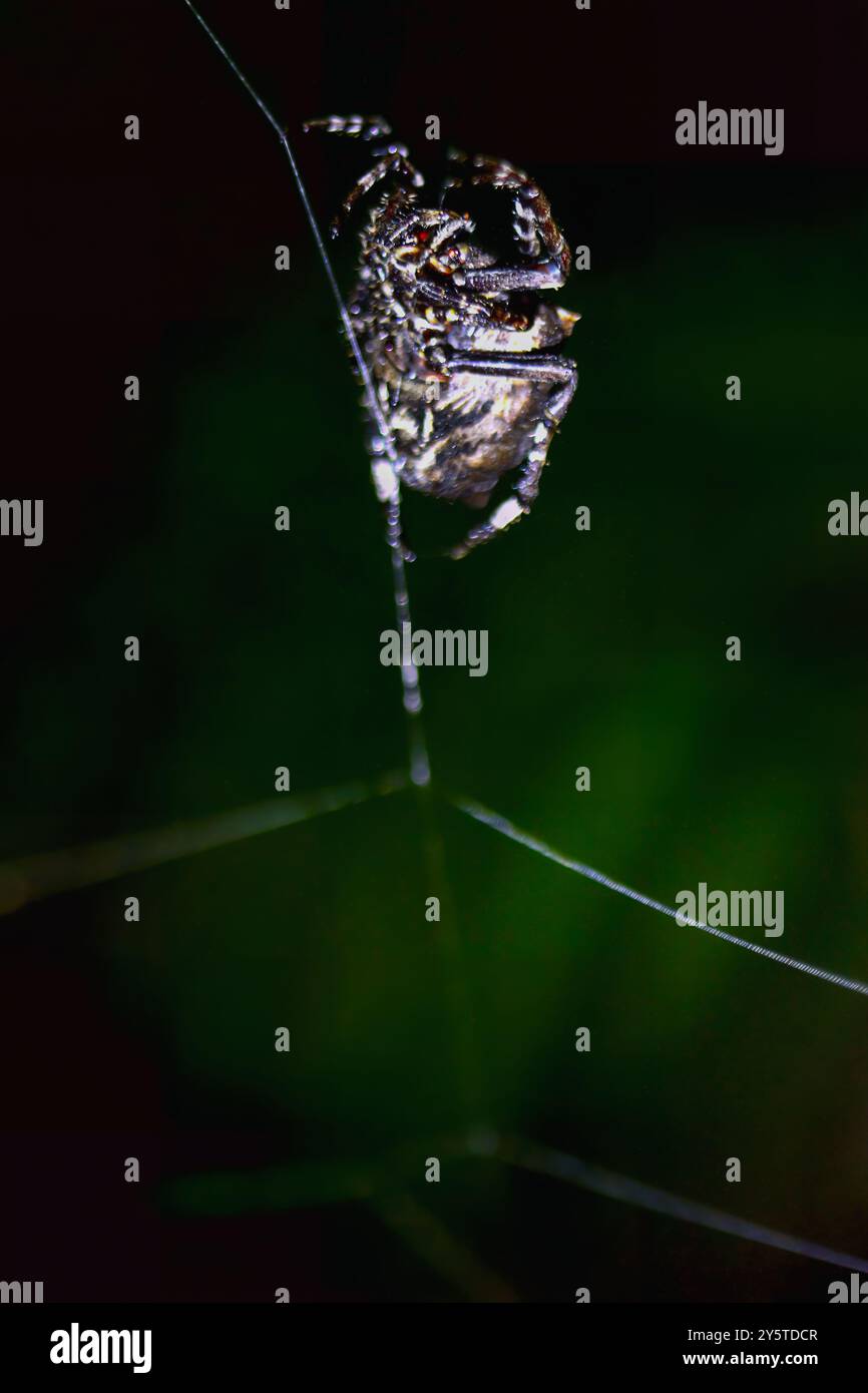 Leg movements hi-res stock photography and images - Alamy