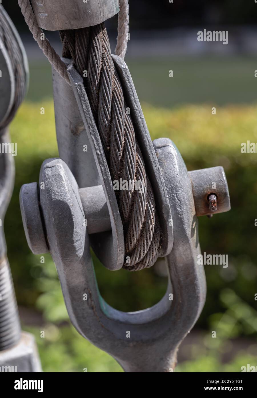 Steel wire rope slings with Thimble and safety anchor shackle ...