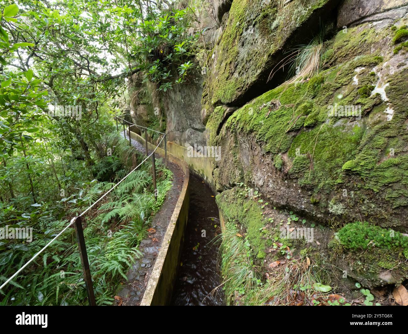 Levada Wanderung, Madeira, Portugal Stock Photo - Alamy