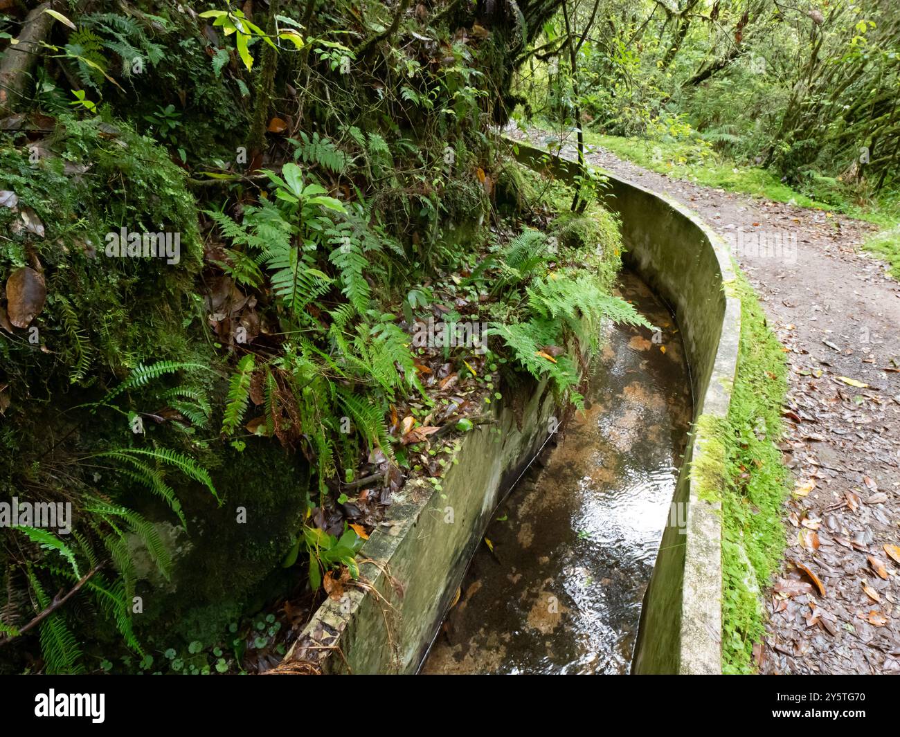 Levada Wanderung, Madeira, Portugal Stock Photo - Alamy