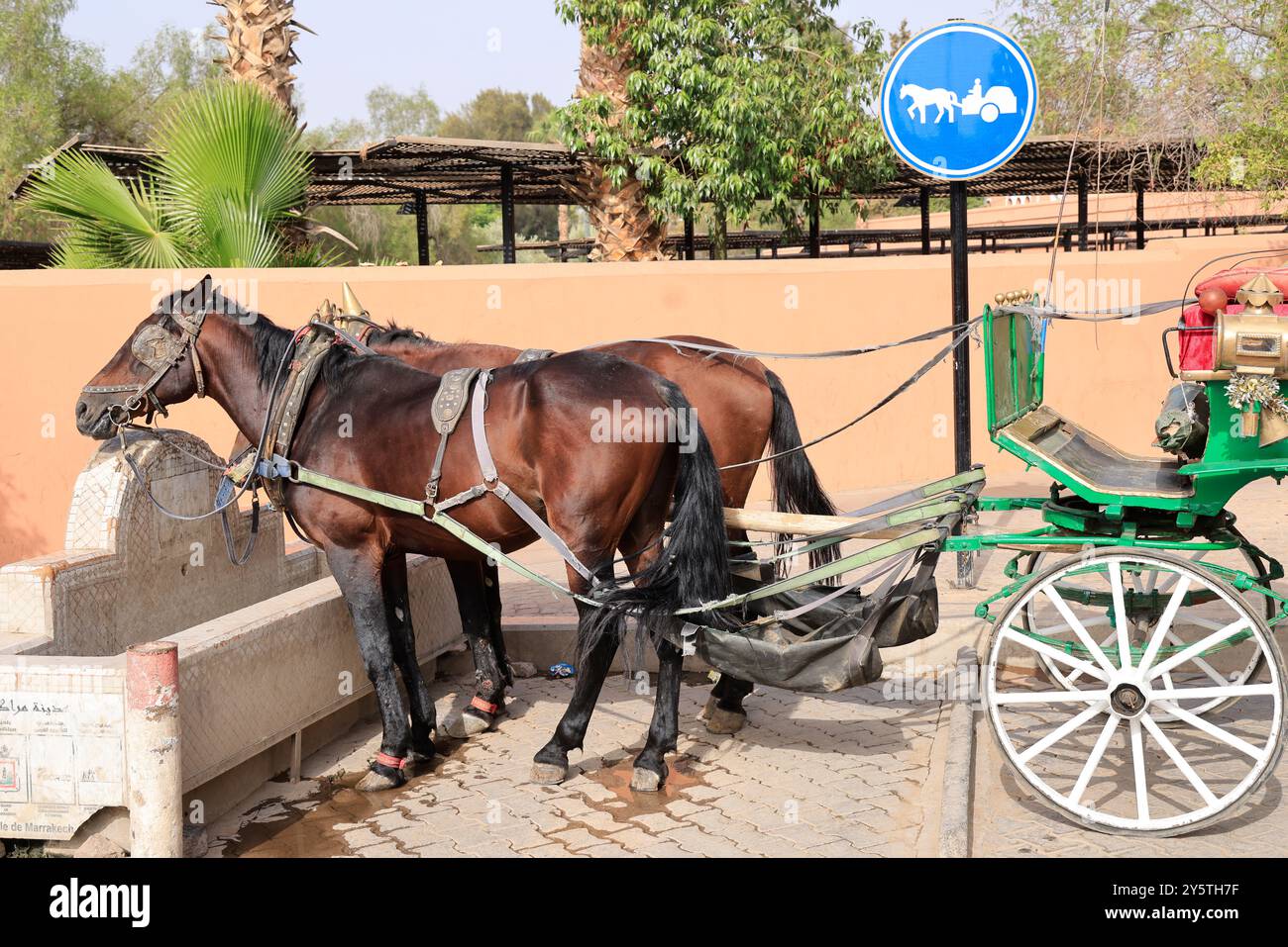 Parc Lalla Hasna à côté de la Mosquée Koutoubia à Marrakech au Moroc ...