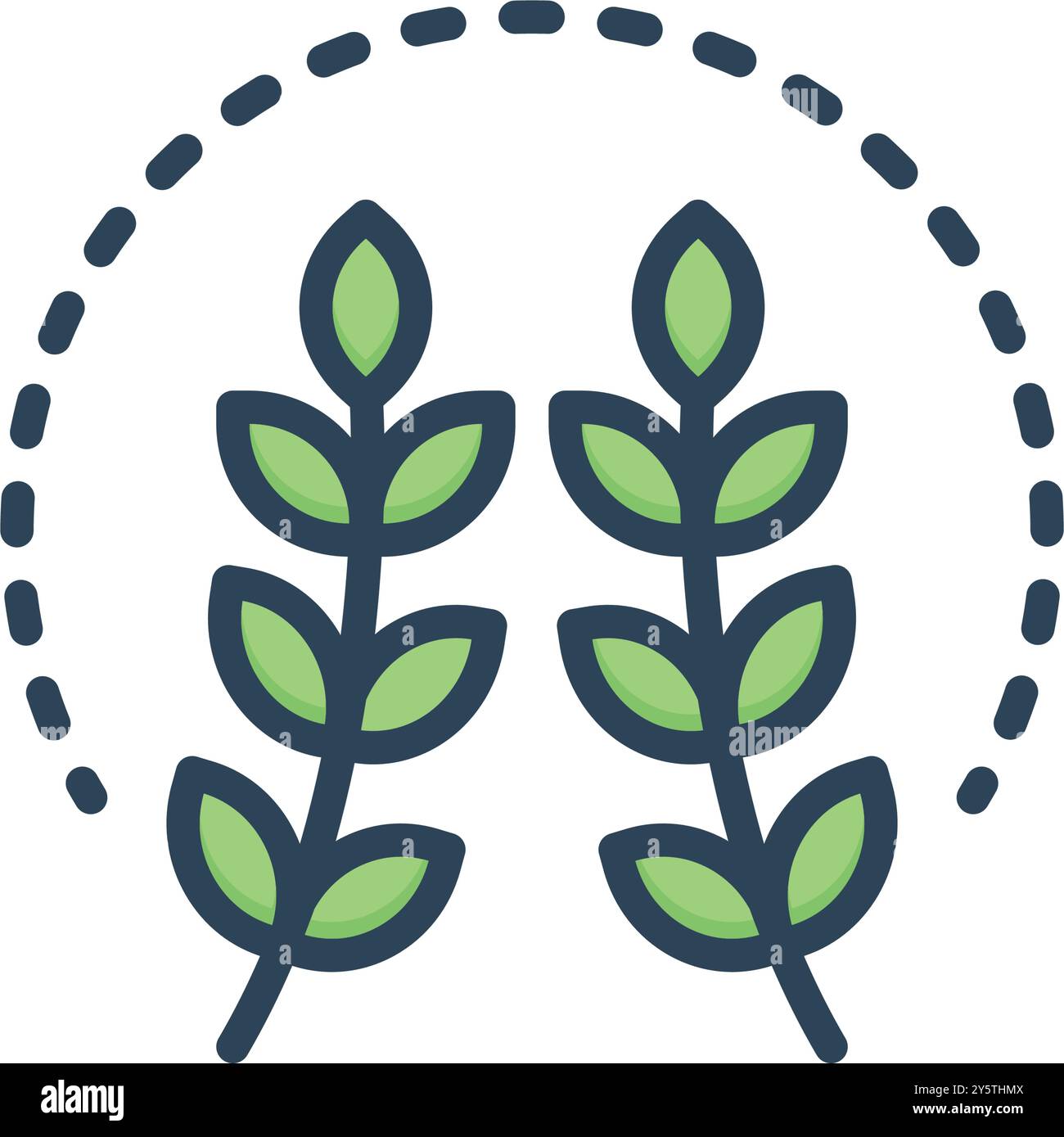 Durum wheat harvest Stock Vector Images - Alamy