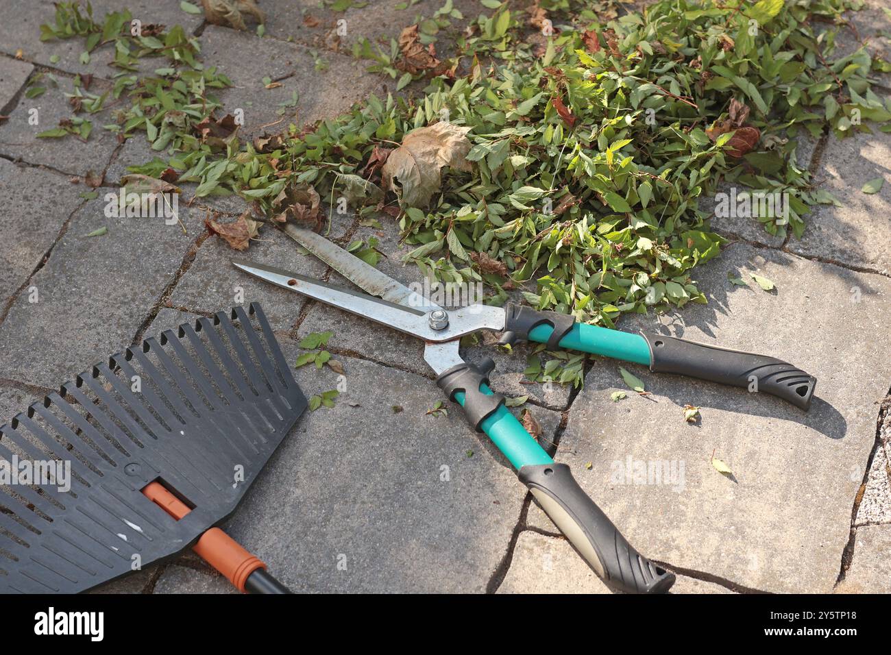 Garden rake, hedge clippers and cut leaves on stone slab in backyard ...