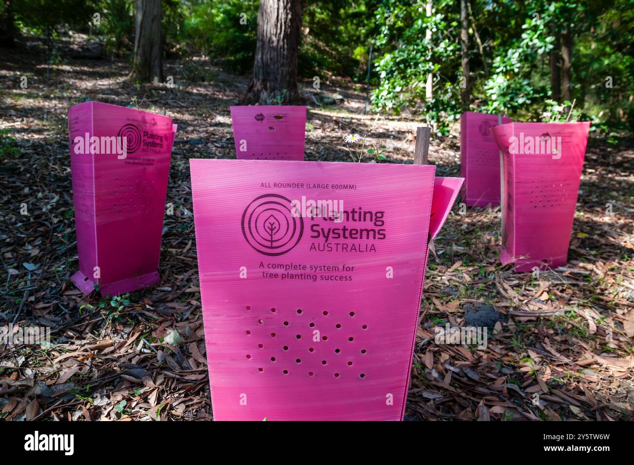 Tri-Cone Tree Guard, large, all rounder guard, 600 mm high, from ...