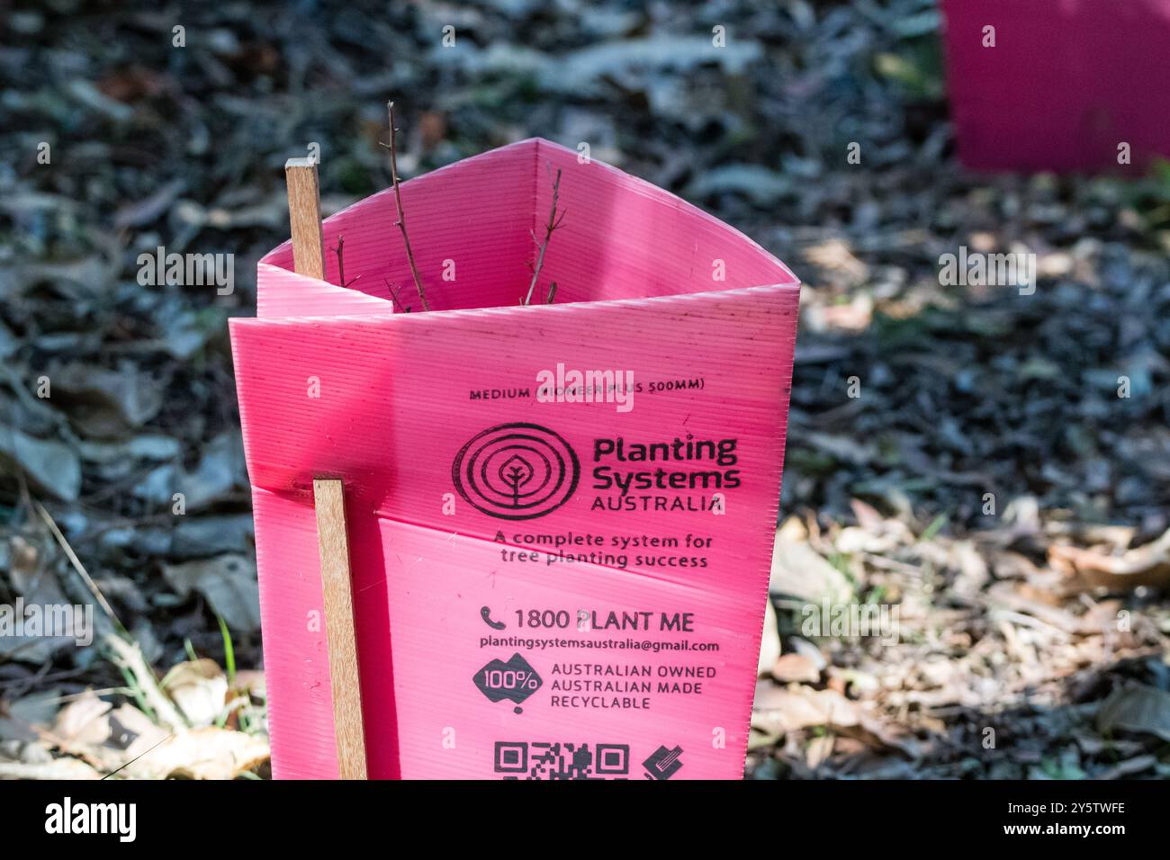 Tri-Cone Tree Guard, large, all rounder guard, 600 mm high, from ...