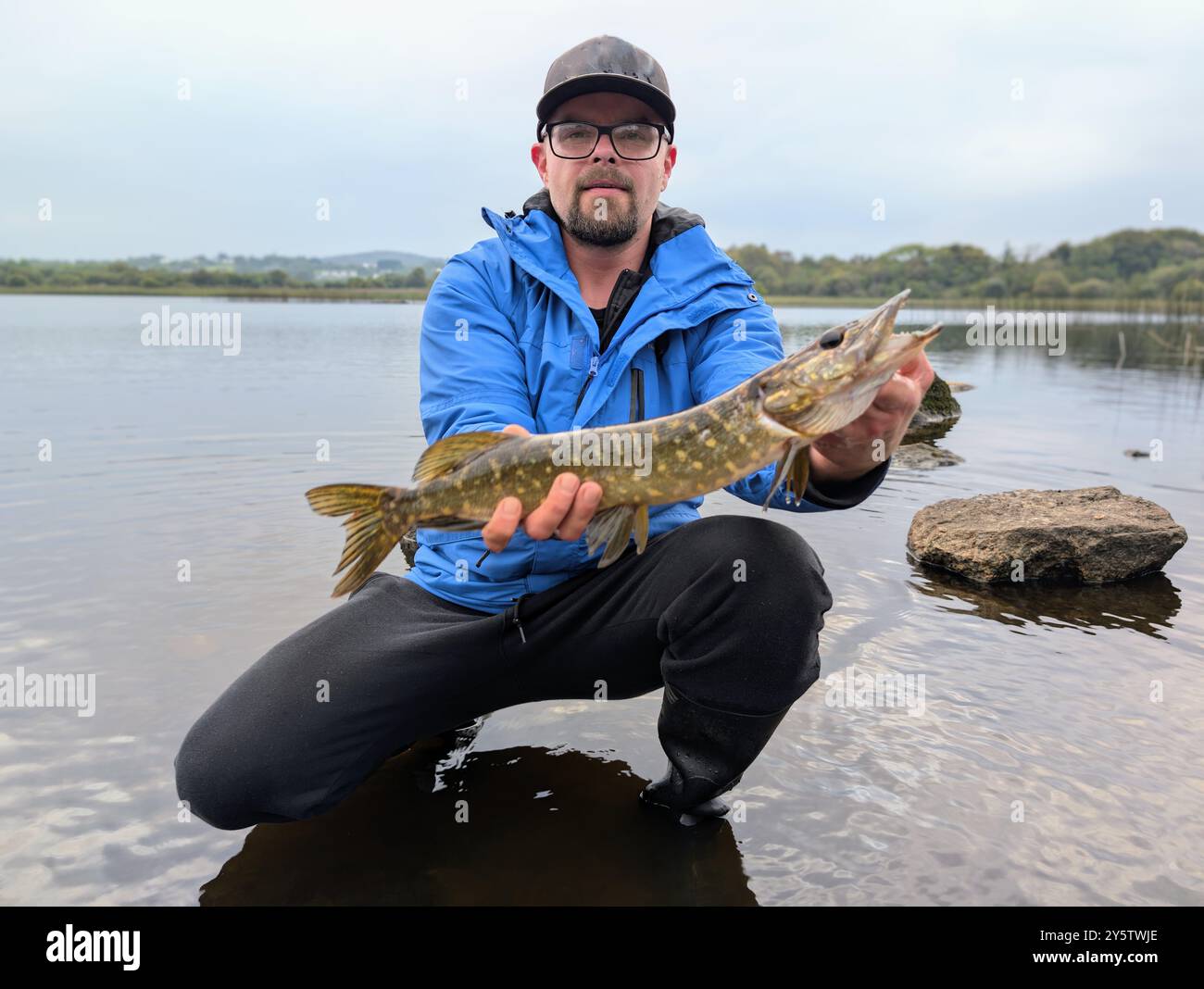 Northern pike freshwater fish caught in Ballyquirke lough, Galway ...
