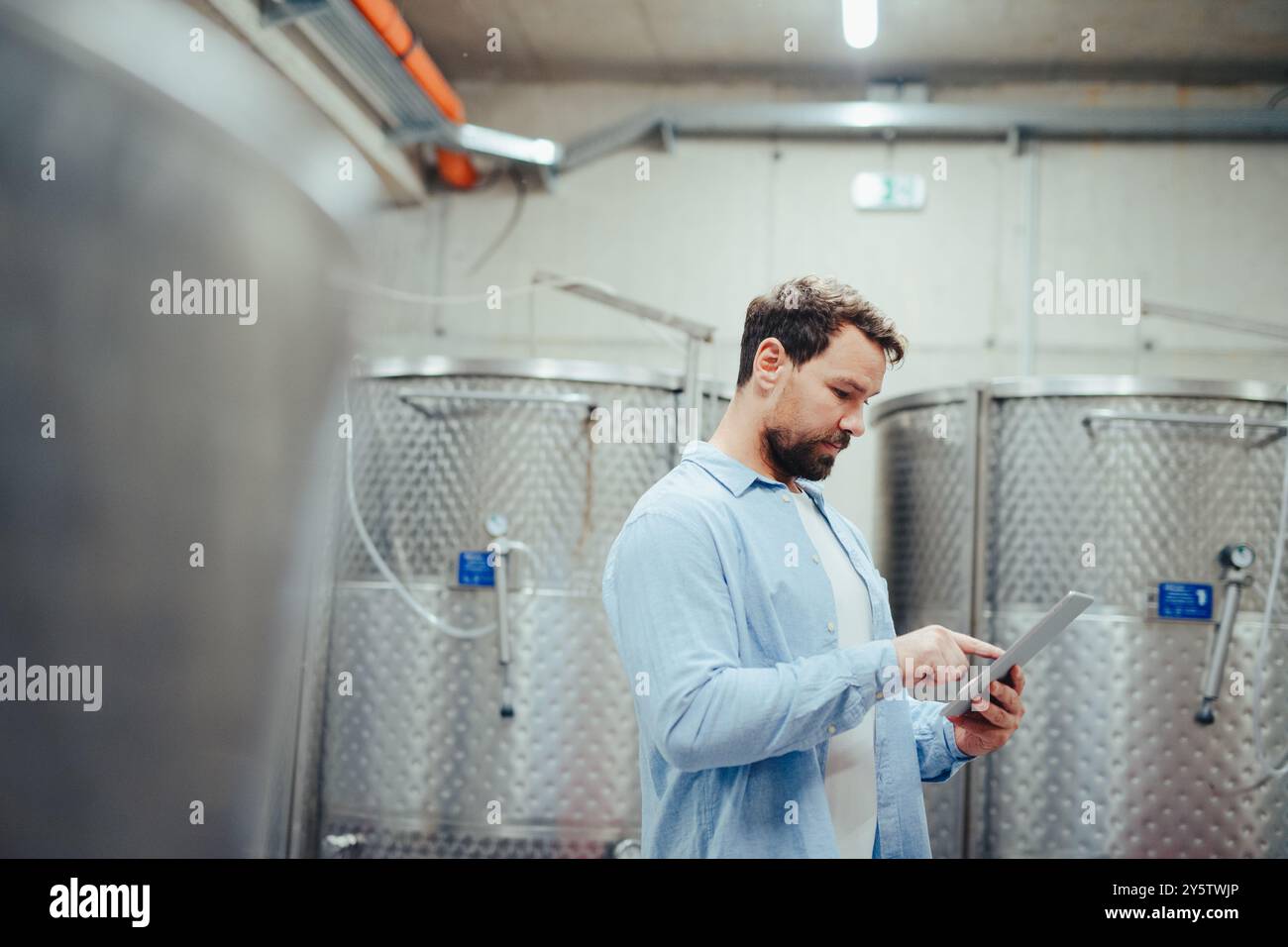 The winemaker standing in the wine cellar, monitoring the fermentation ... The winemaker standing in the wine cellar, monitoring the fermentation ...