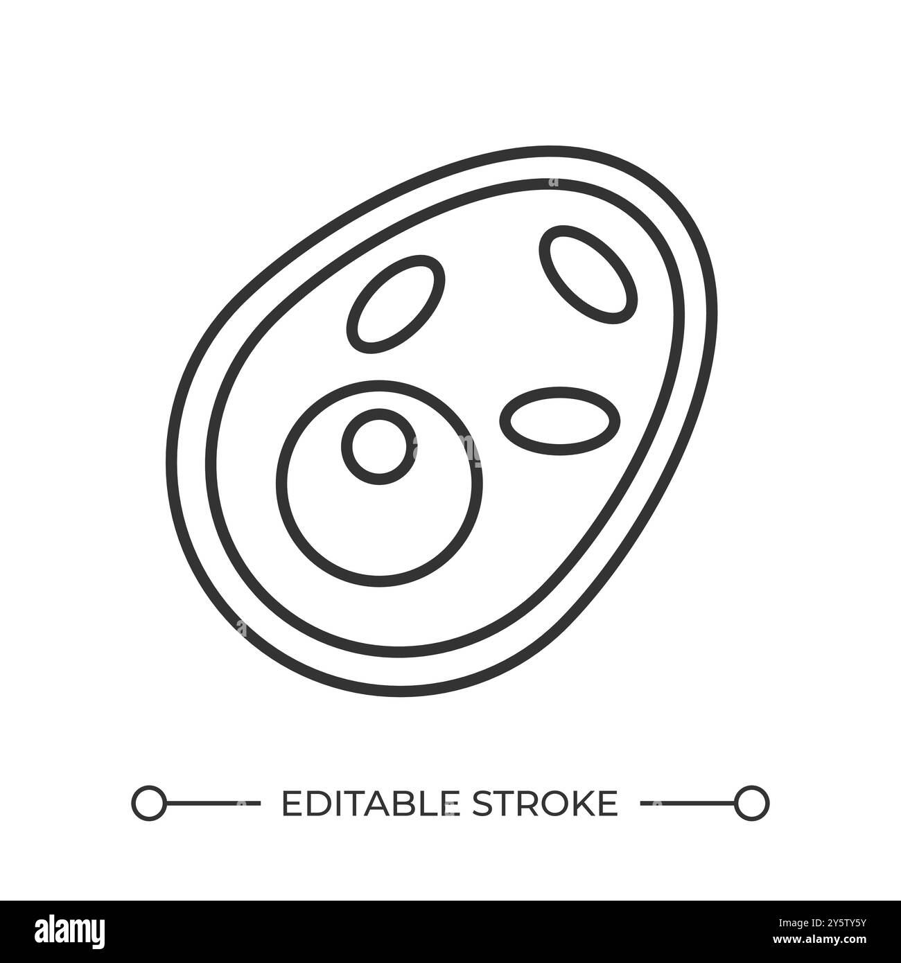 Organelle cell nucleus Black and White Stock Photos & Images - Alamy