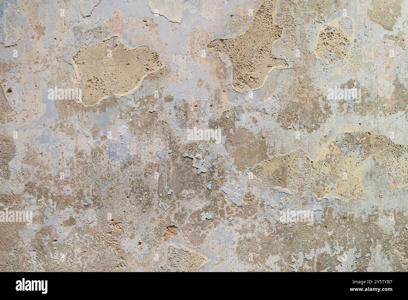 Close-up view of the wall paint peeling off and mold on the wall Stock ...