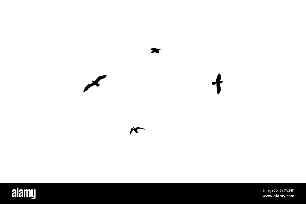 Flying Birds Vector Illustration Collection Stock Vector Image & Art ...