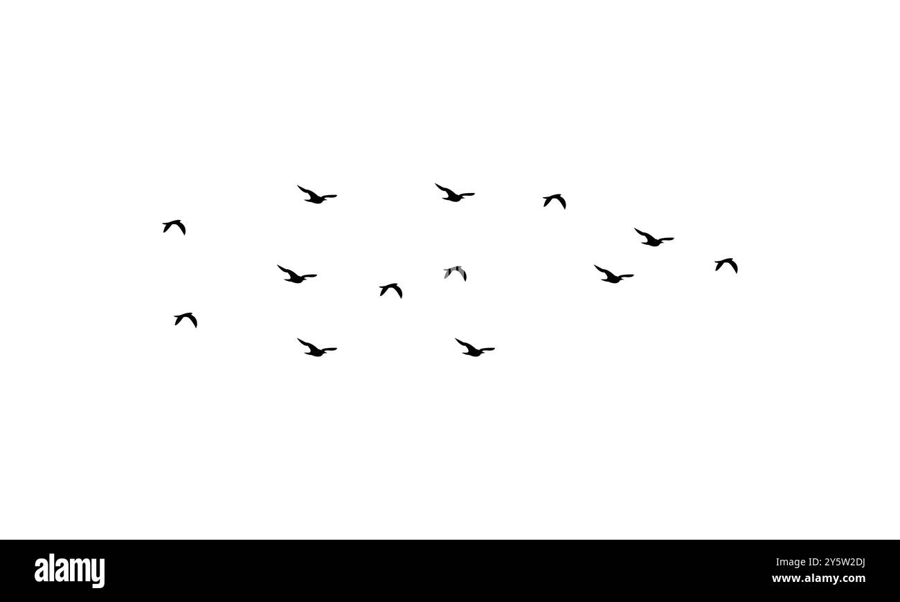 Flying Birds Vector Illustration Collection Stock Vector Image & Art ...