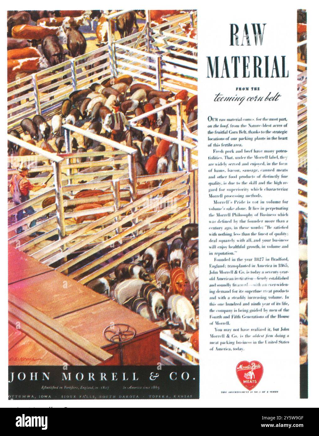 1935 John Morrell & Co Ad - "Raw material from the teeming corn belt ...