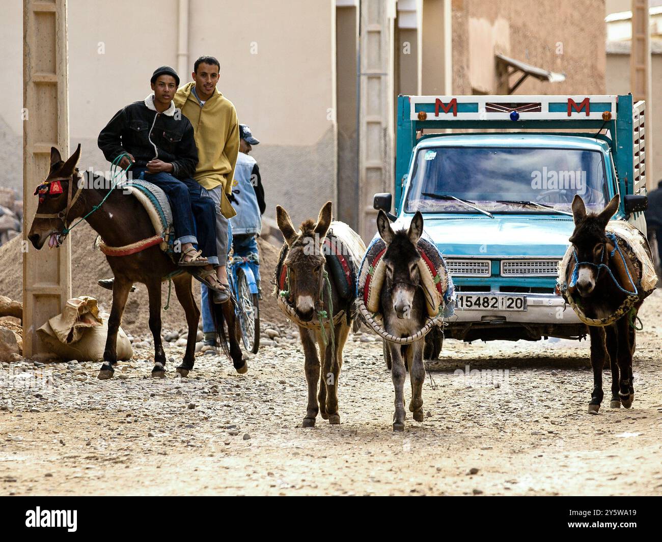 donkeys in the Berber Kasbah, Tioute village, Valle del Sous, Antiatlas ...