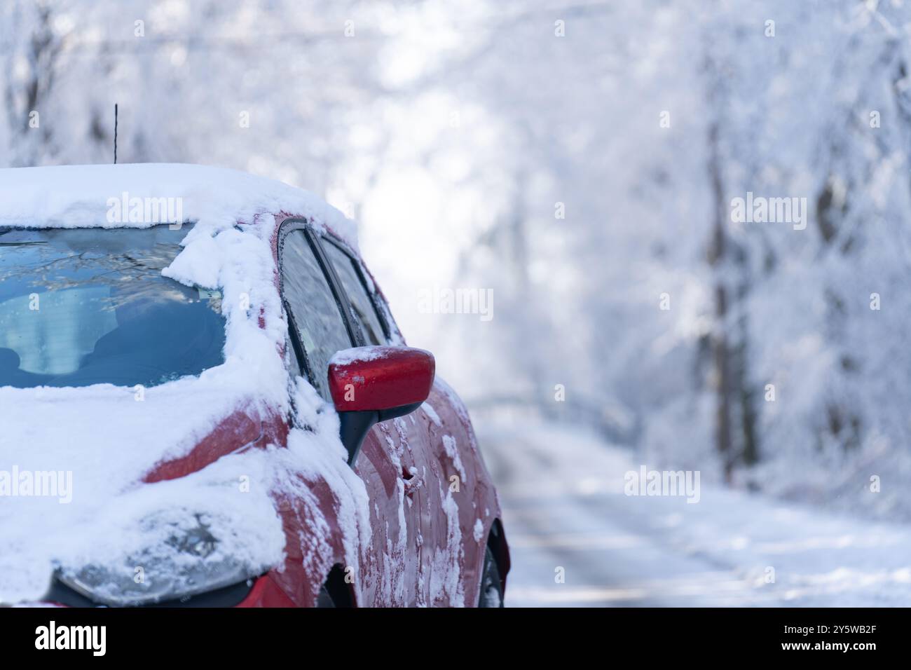 Driving through winter park hi-res stock photography and images - Alamy