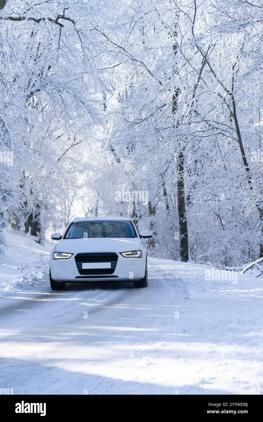 Europe forest car hi-res stock photography and images - Alamy
