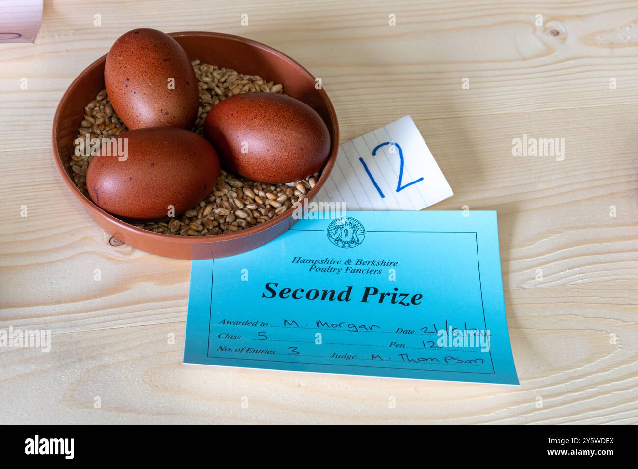 Tray of eggs in the poultry competition at Newbury Show 2024, Berkshire ...
