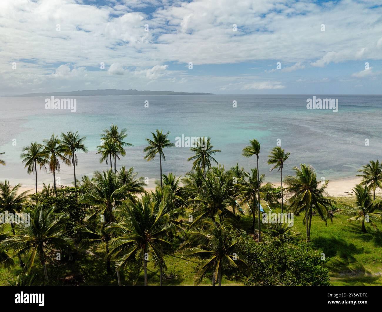 Coconut trees in tropical beach and turquoise sea water in Santa Fe ...