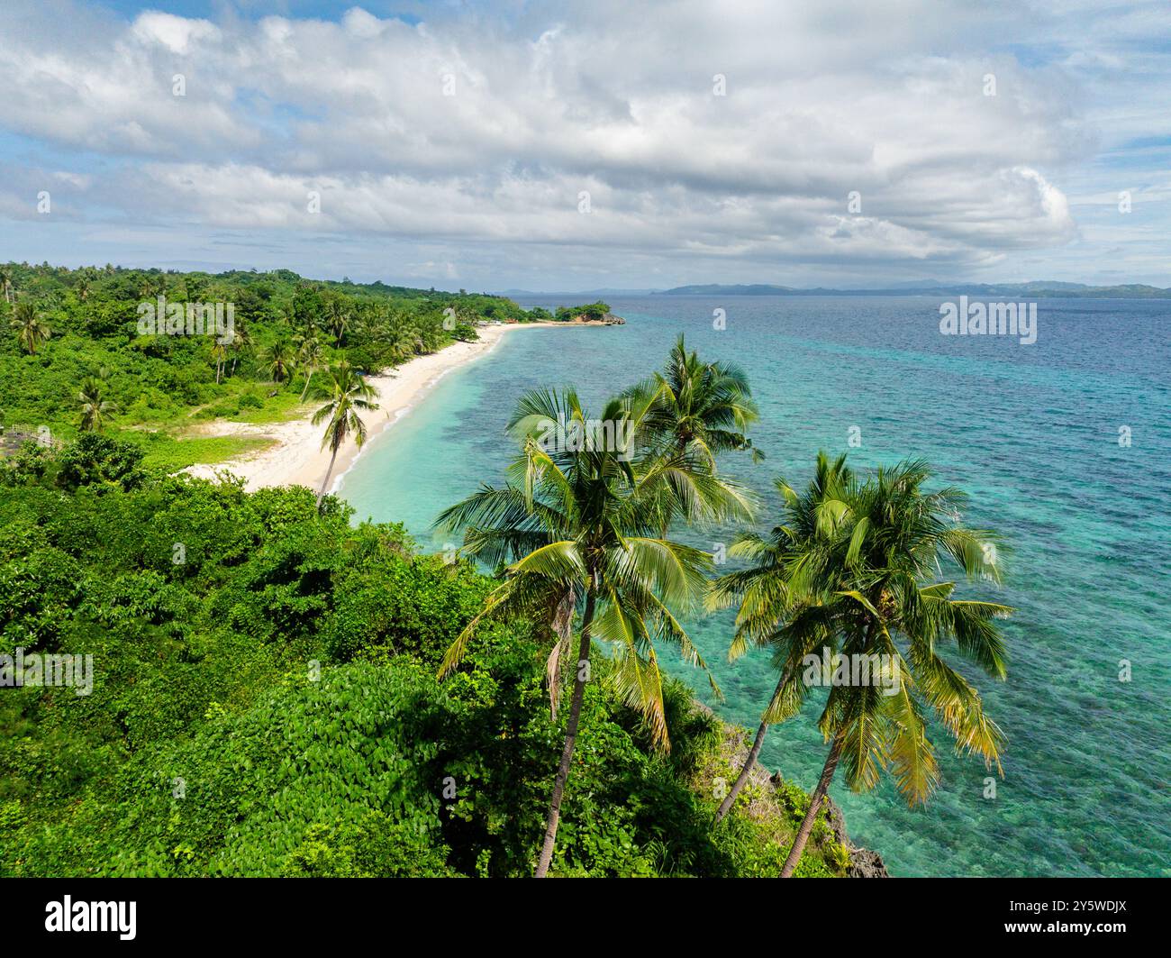 Beach with coconut palm trees in Carabao Island. Beautiful sea in ...