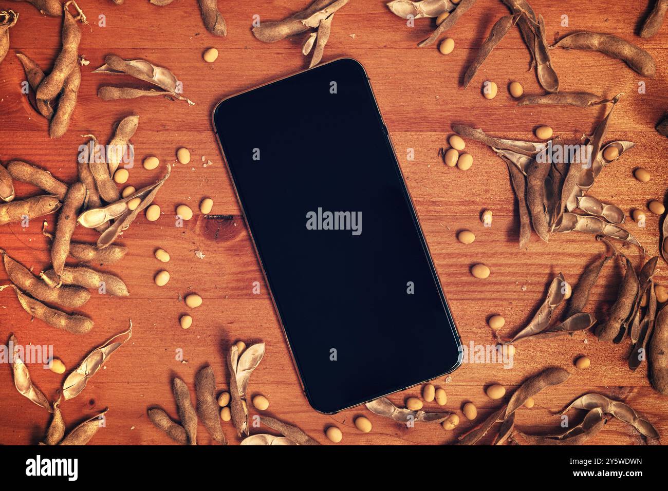 Smartphone mockup, top view of mobile phone with blank screen on wooden ...