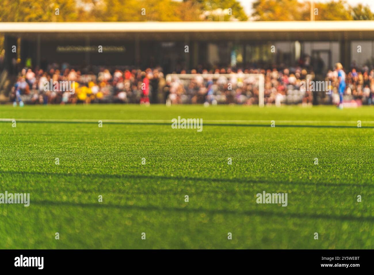 Close up of football soccer field grass in the background of stadium ...