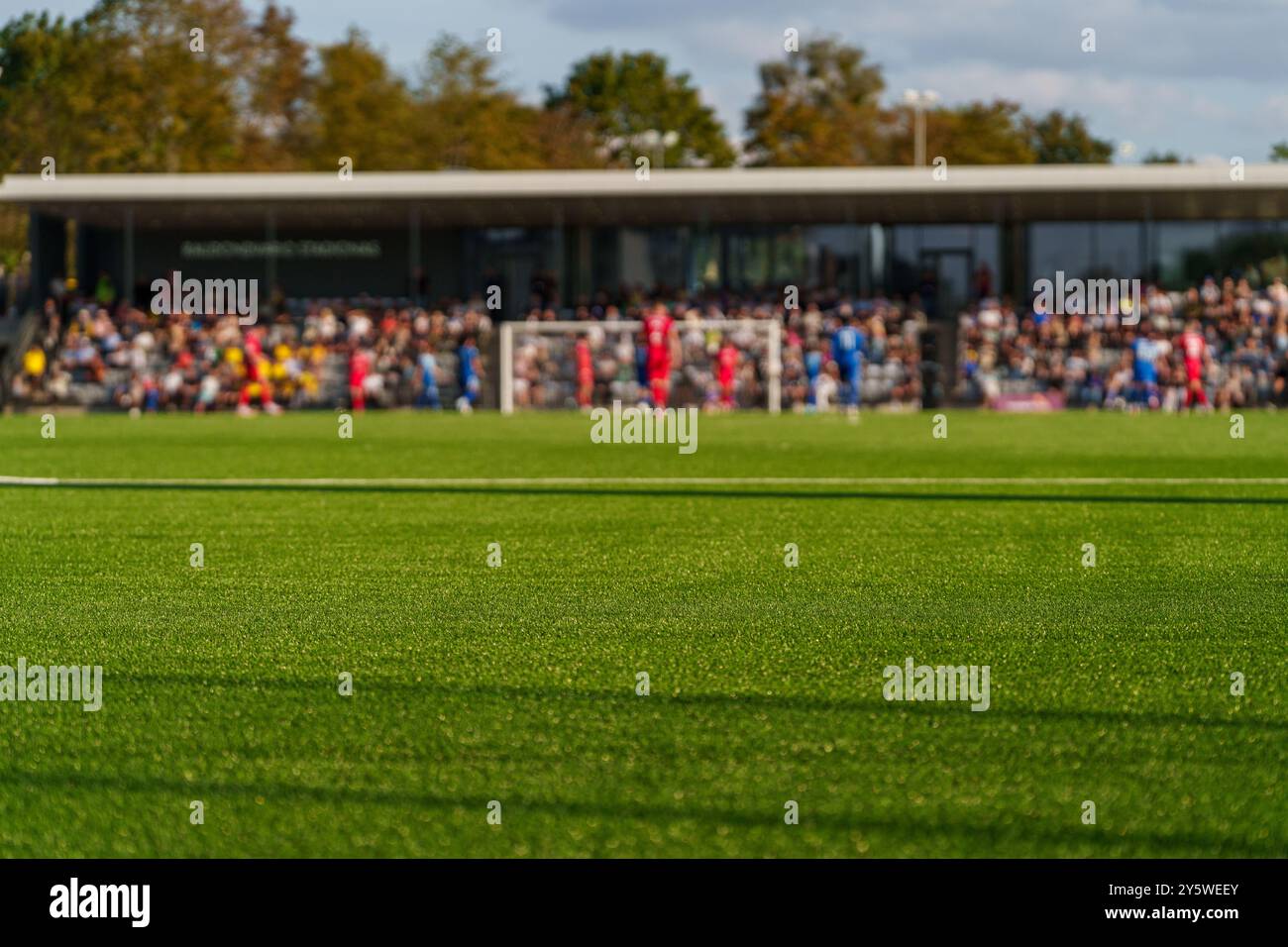 football soccer stadium field. close up view of grass texture Stock ...