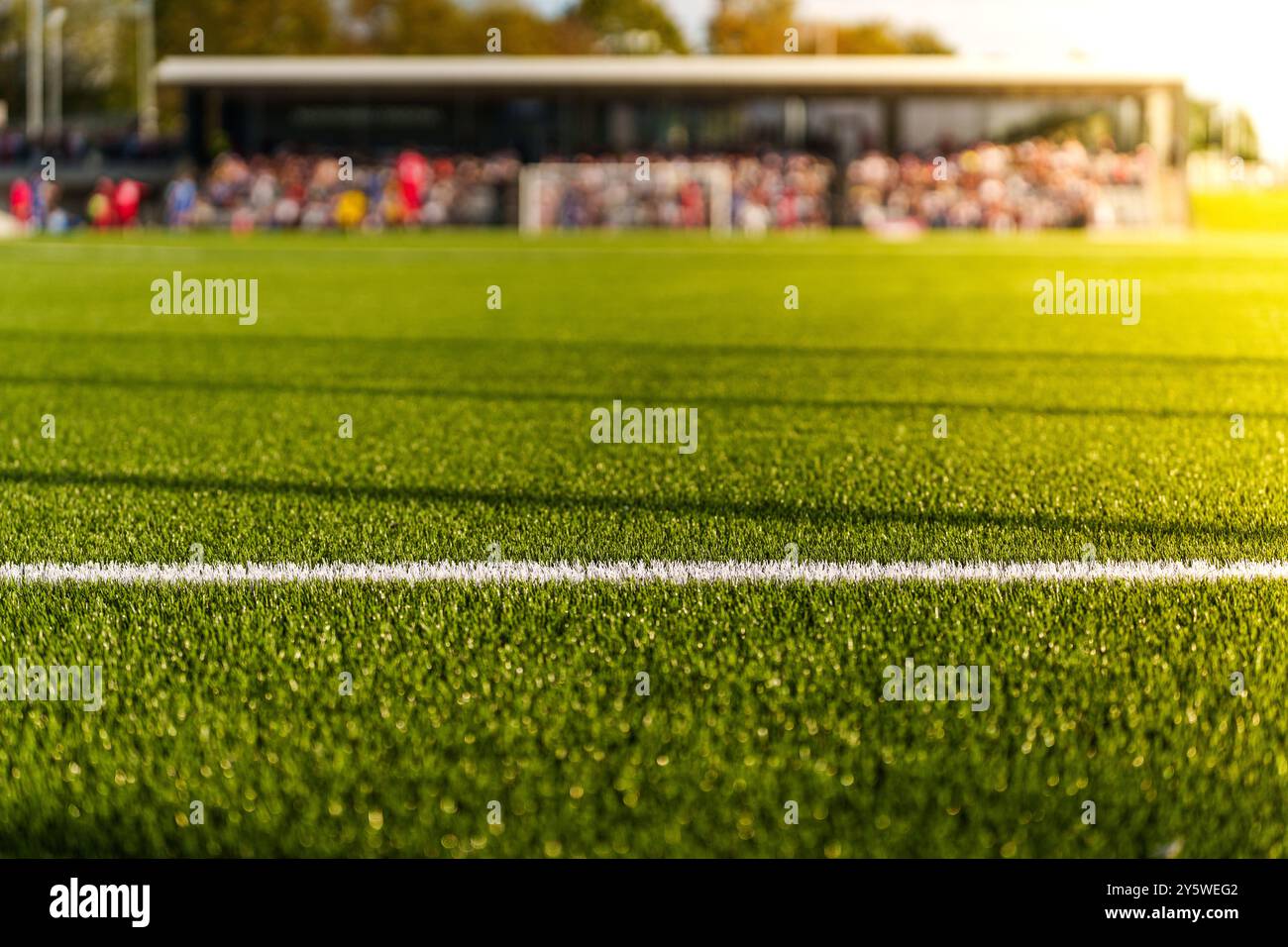 football soccer stadium field. close up view of grass texture Stock ...