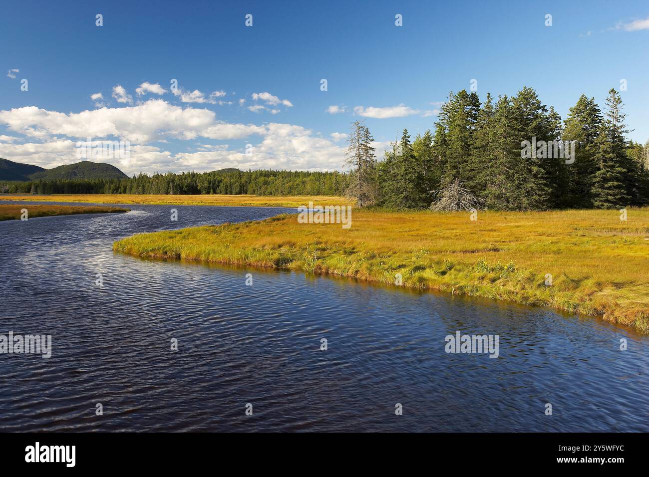 River flows through desert hi-res stock photography and images - Alamy