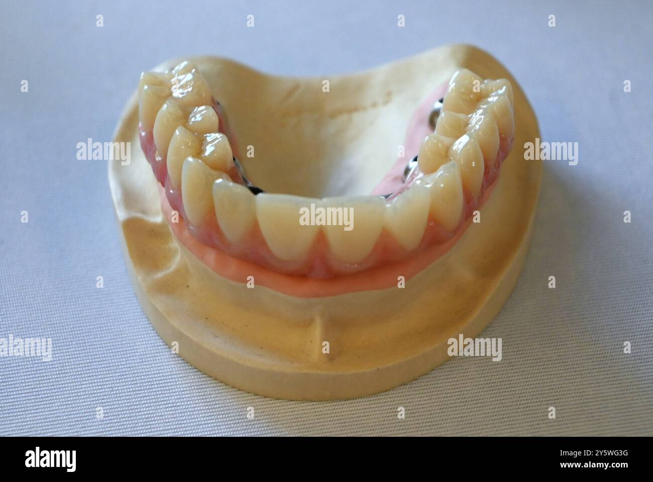 Medizinisches fachgebiet hi-res stock photography and images - Alamy