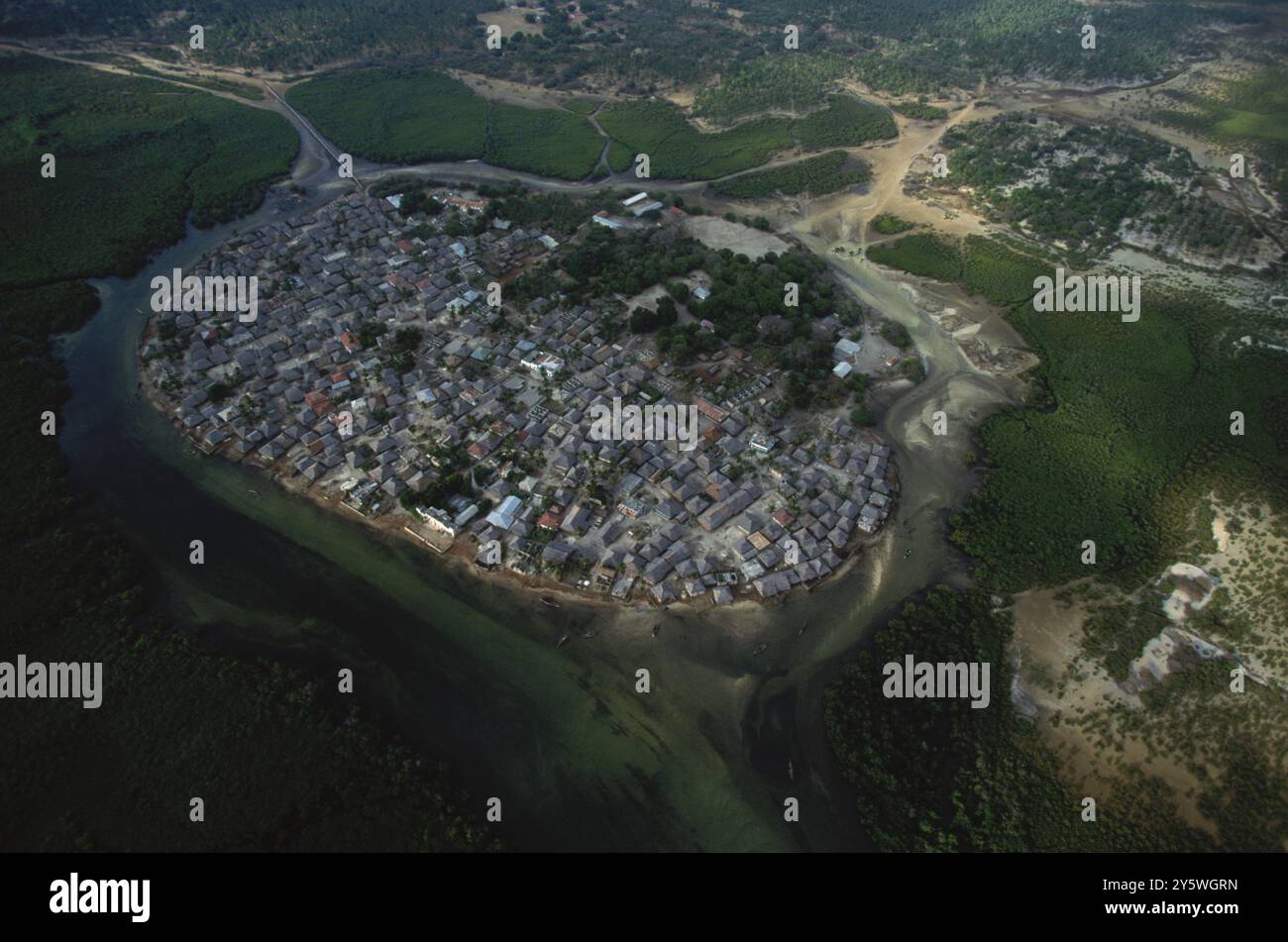 Faza kenya hi-res stock photography and images - Alamy