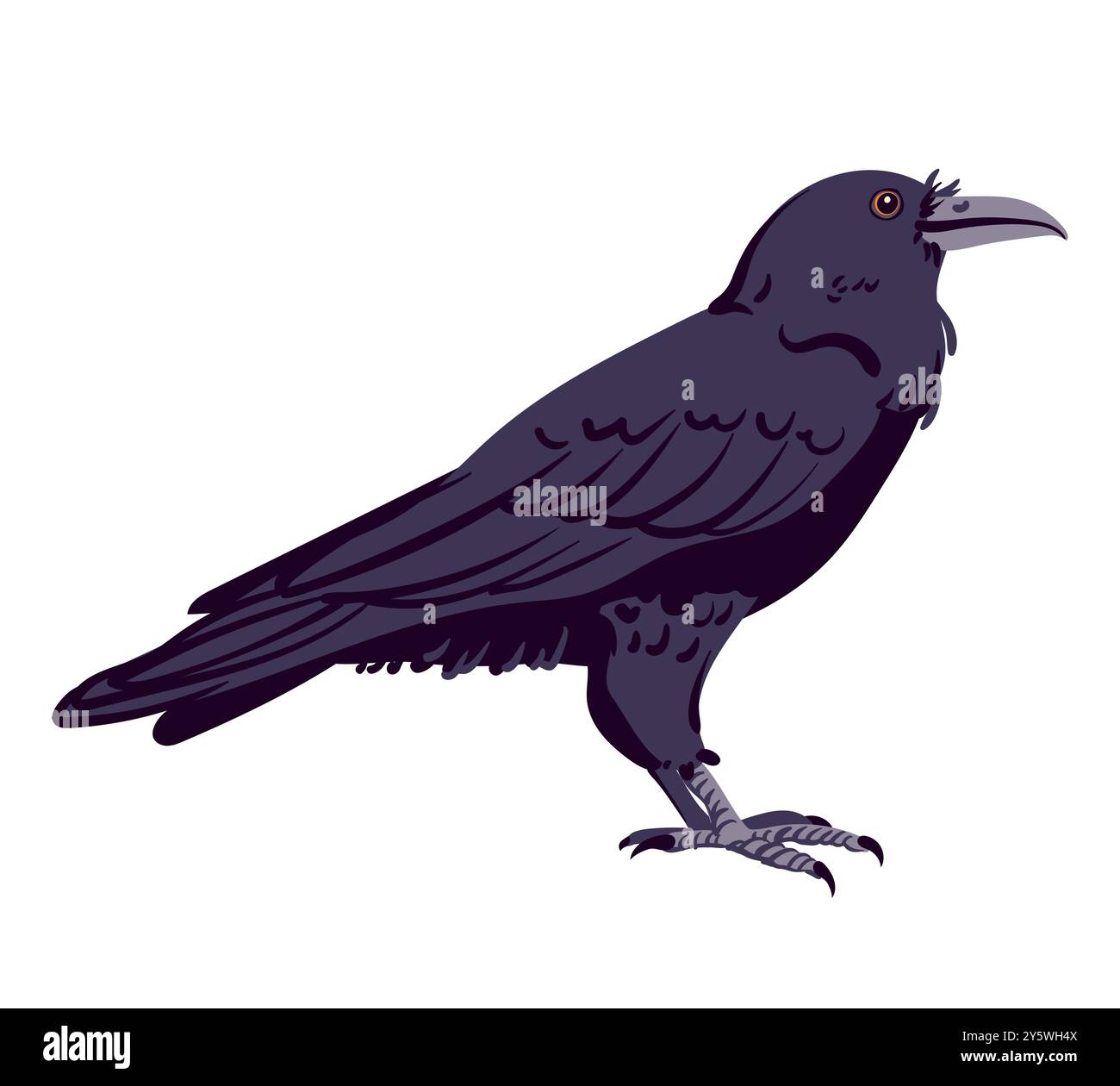 Black raven vector illustration. Cartoon style, flat design. Halloween ...