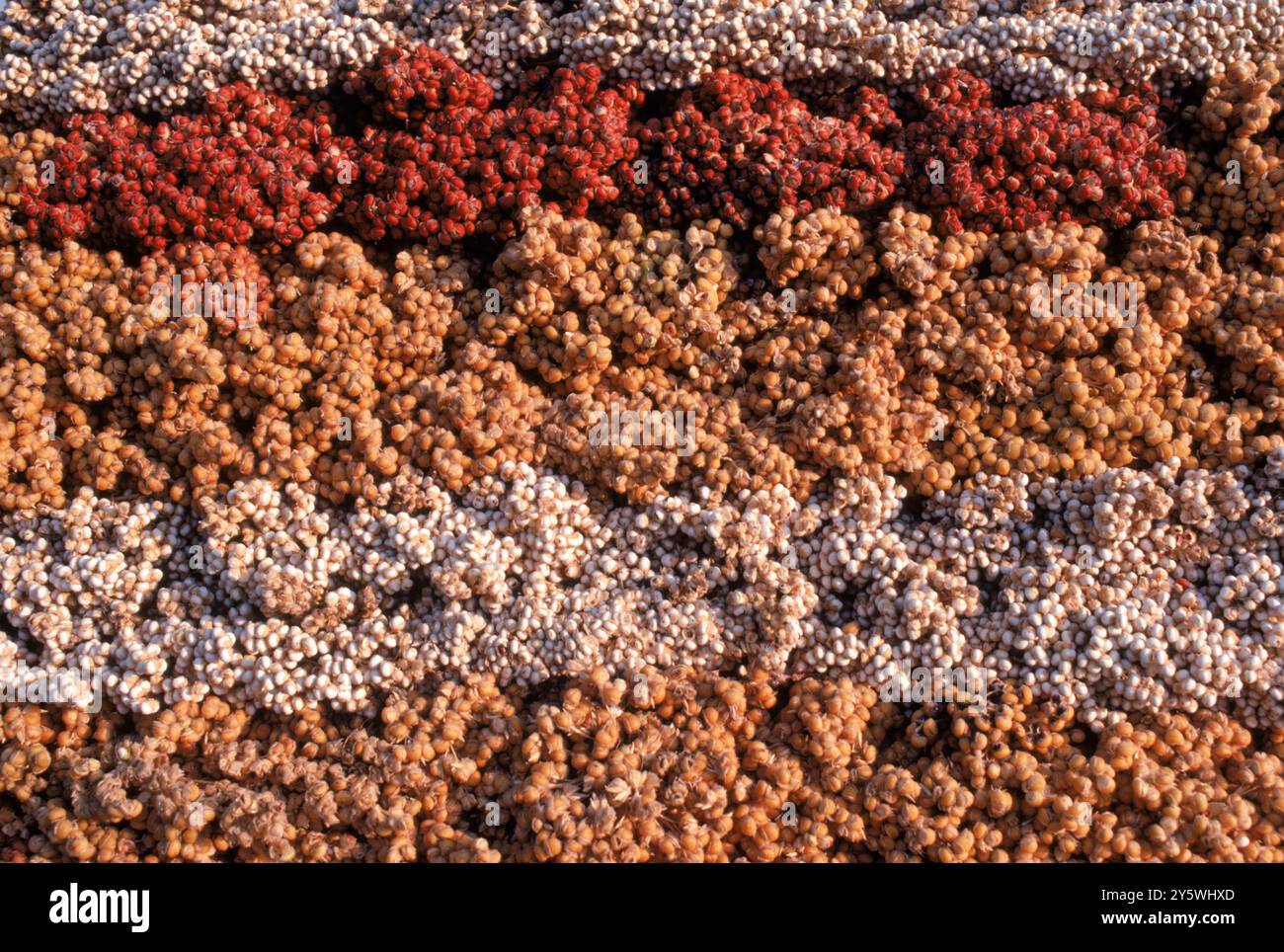 Nuba village hi-res stock photography and images - Alamy