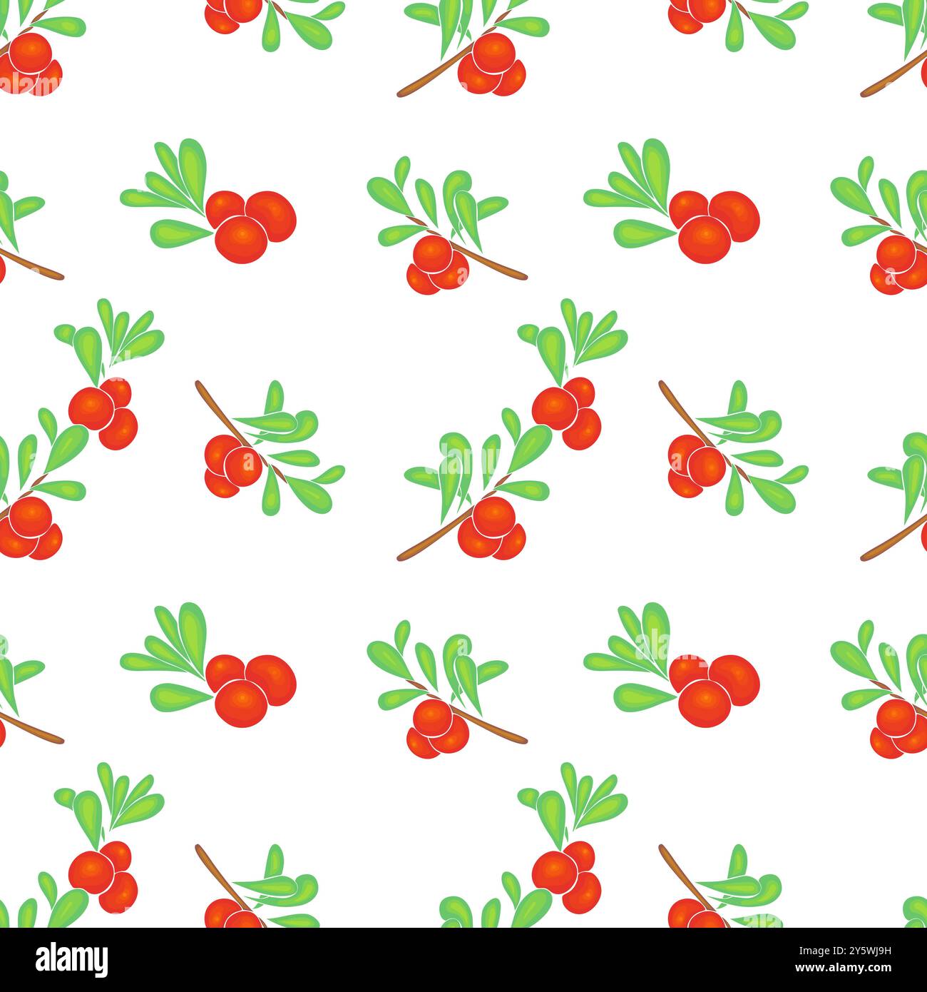 Seamless pattern with cranberries. Vector illustration Stock Vector ...