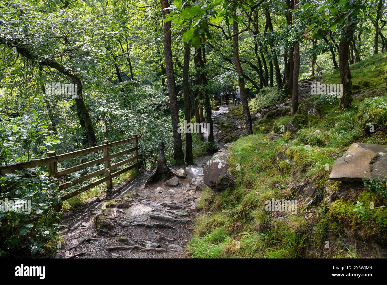 A section of the Ingleton waterfalls walk where the river Doe passes ...