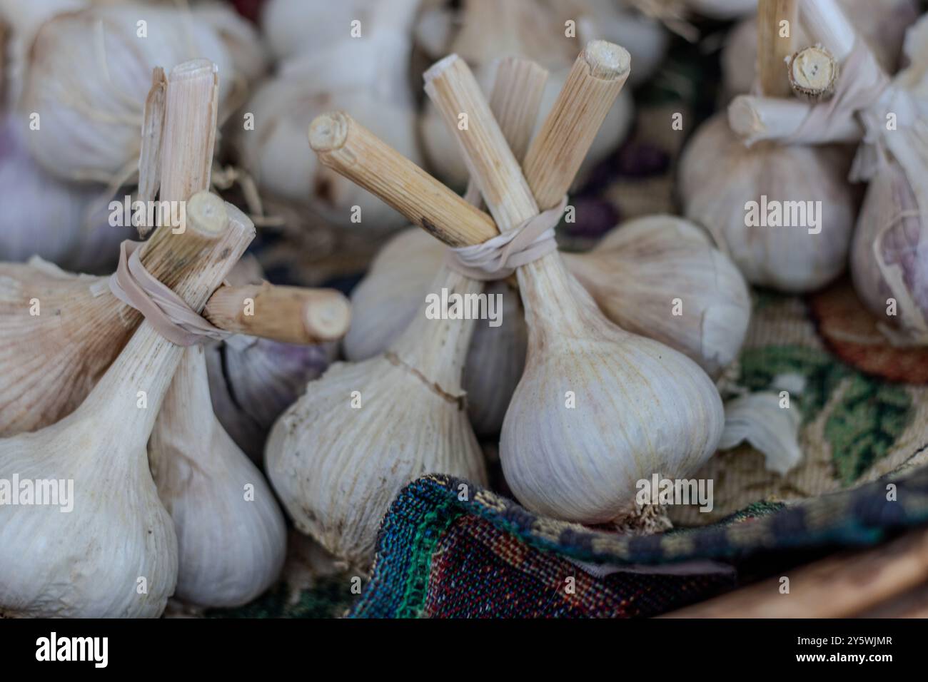 Bundles of fresh garlic tied together at a farmers market display Stock ...