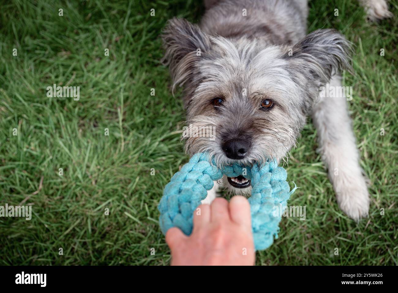Snatch it game hi-res stock photography and images - Alamy