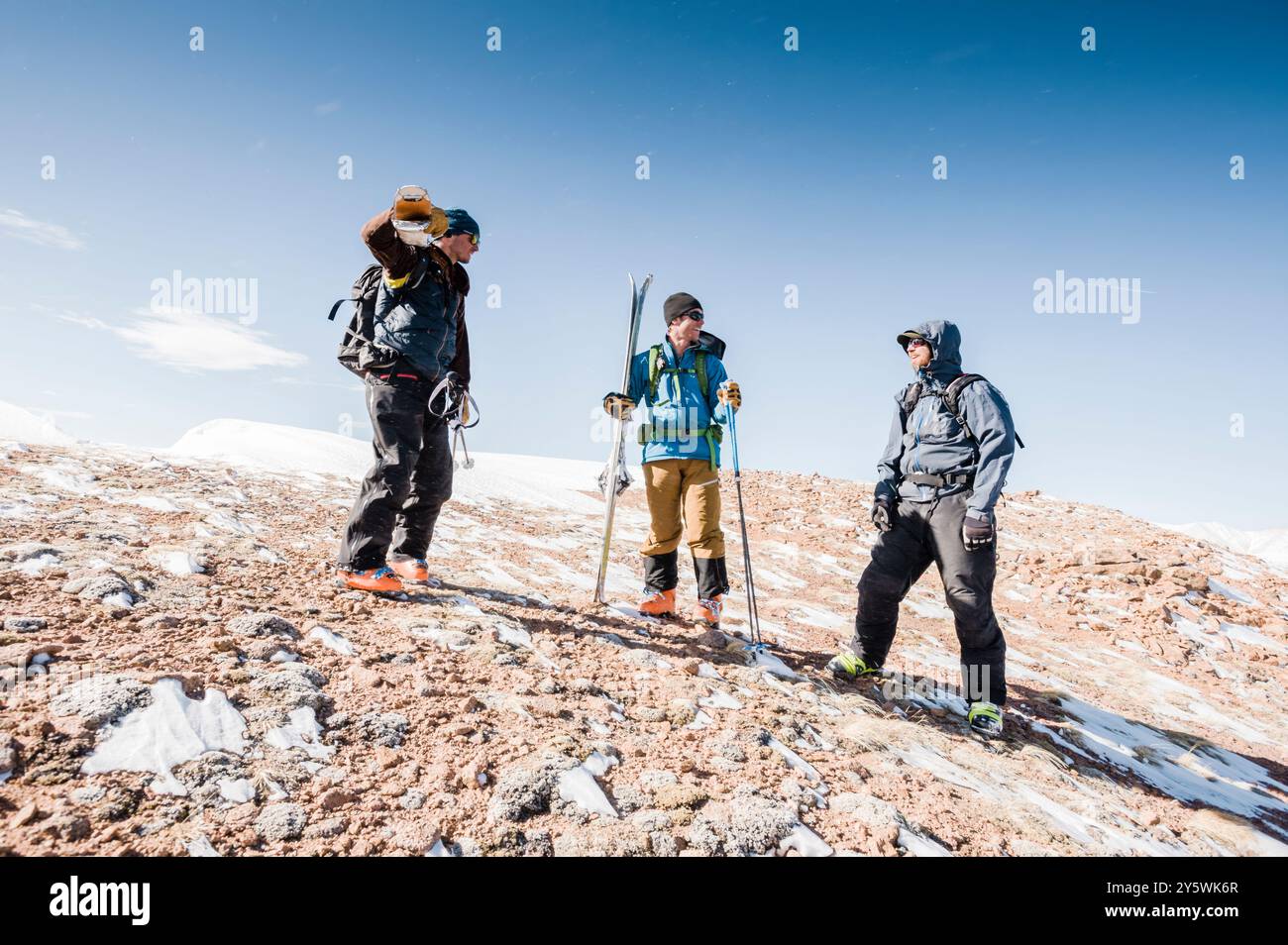 White capped monarch hi-res stock photography and images - Alamy