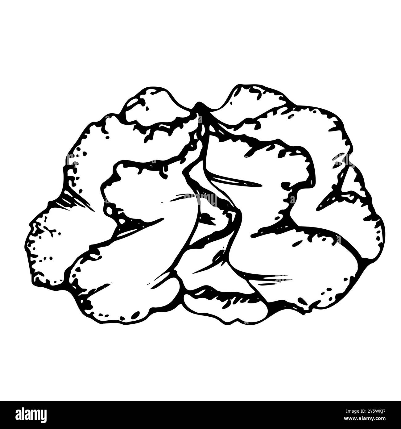 Wasabi plant not sushi or not food Black and White Stock Photos ...