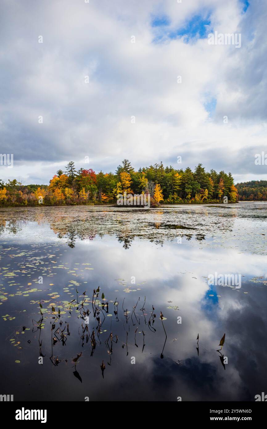 Hampshire region hi-res stock photography and images - Alamy