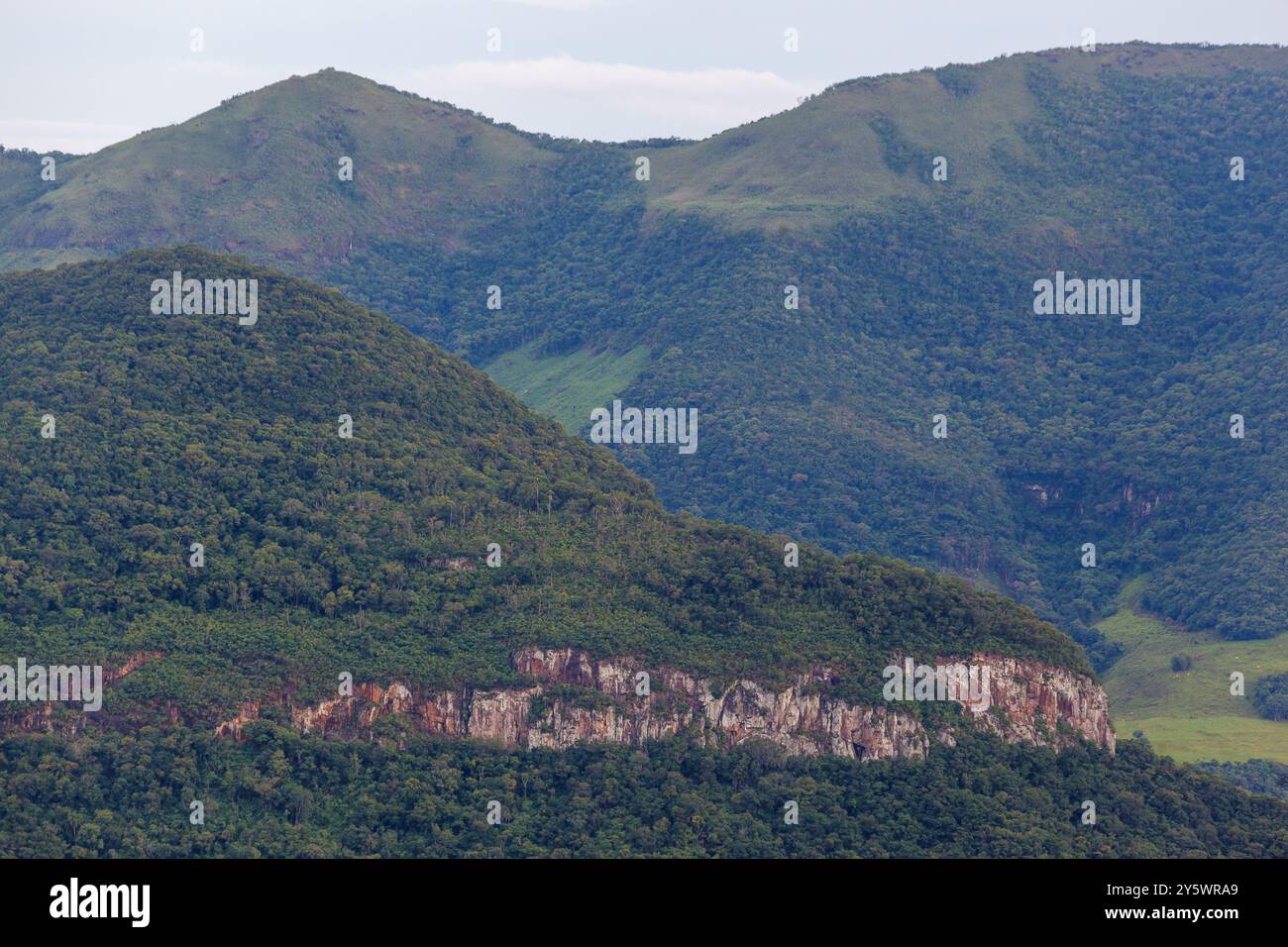 The Serra do mar forest in Serra Gaucha, Rio Grande do Sul, Brazil ...